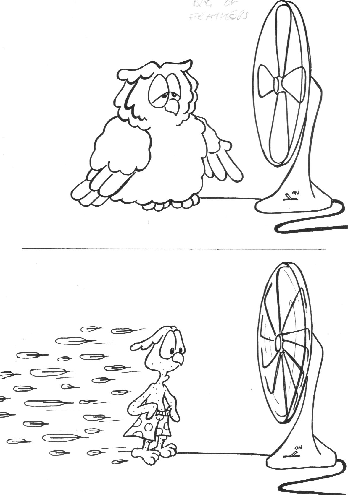 Feather facts – ICBP