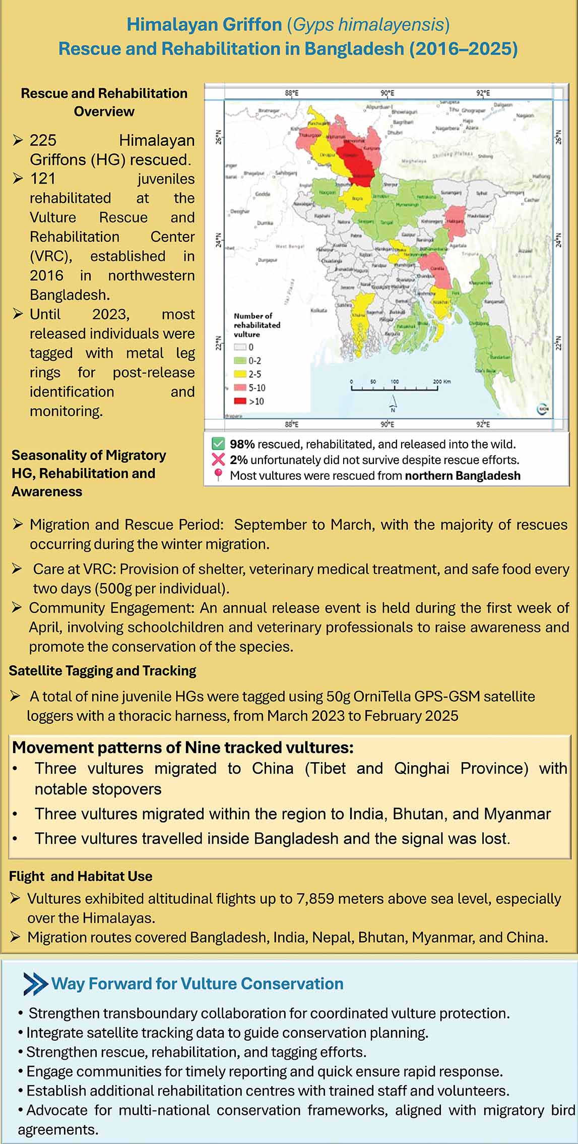 Himalayan Griffon Rescue & Rehabilitation Programme in Bangladesh – ICBP